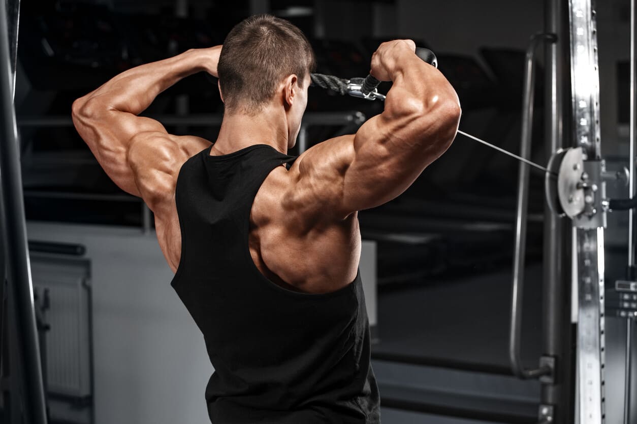Entrenamiento de deltoides posterior: ¿Cómo hacerlo?