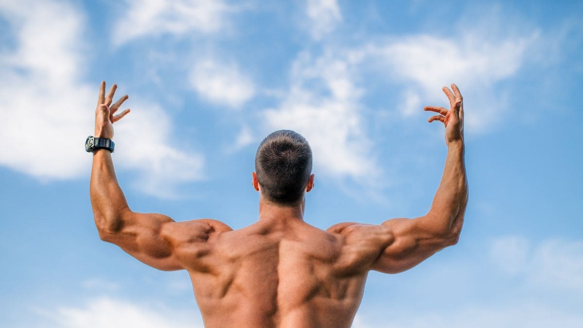 Cómo hacer la retracción escapular y ejercicios para aplicarlo